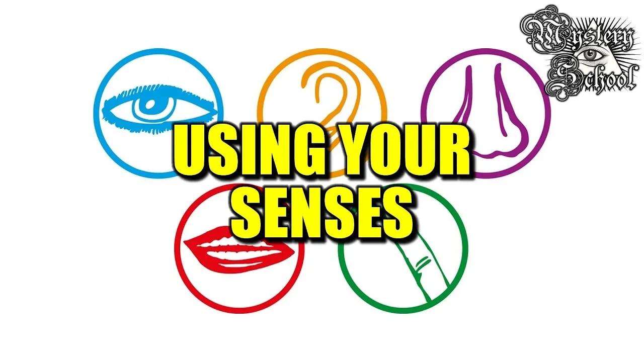 Using Your Senses