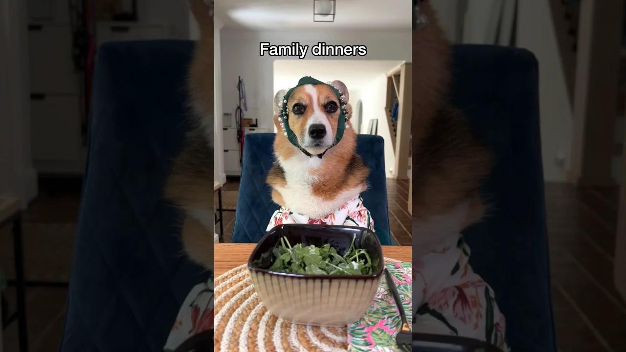 No one is getting dessert