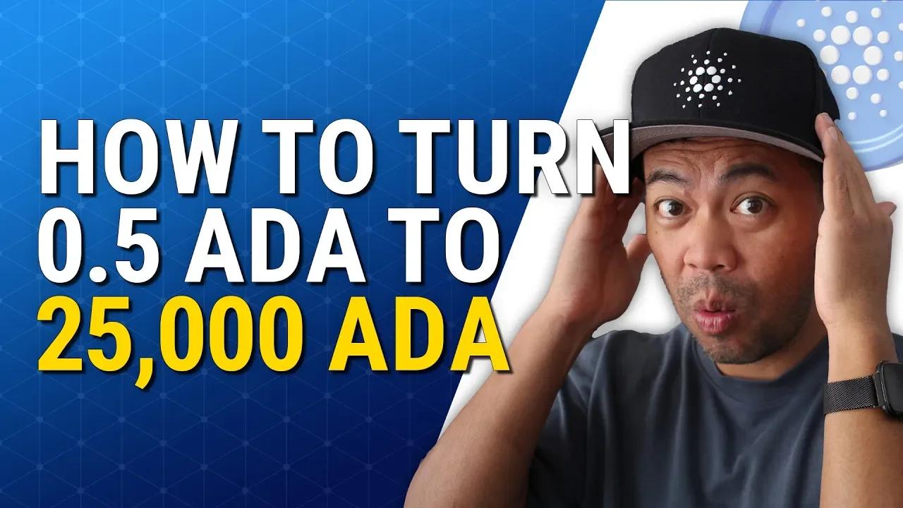 How to turn 0.5 ADA into 25,000 ADA with One Trade