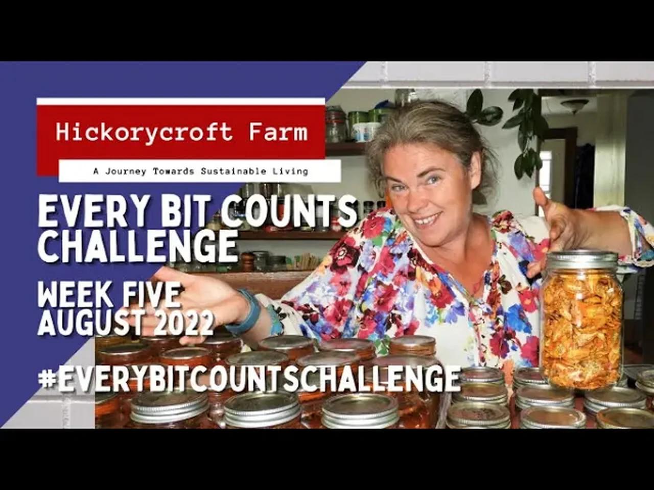 Every Bit Counts Challenge | Week Five August 2022 | # ...