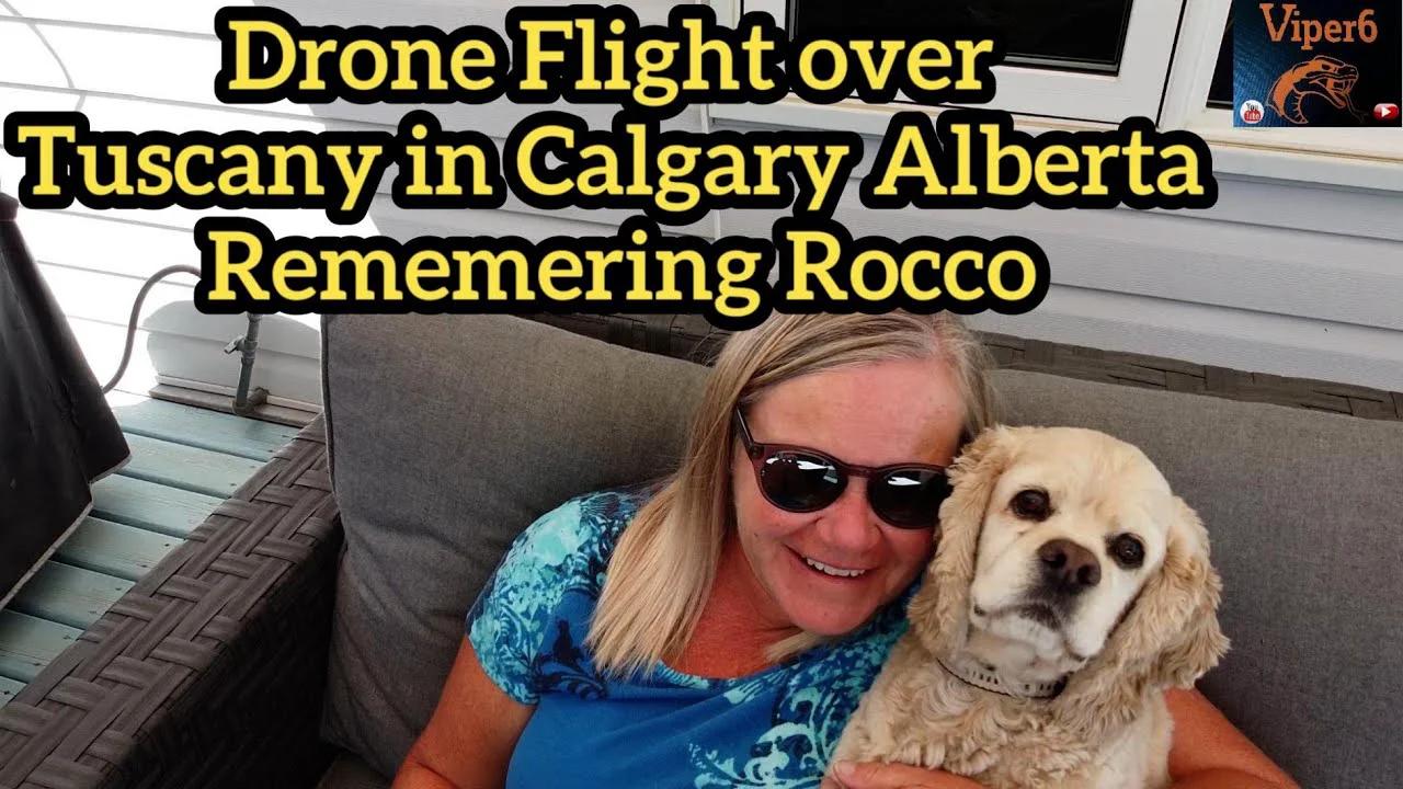 Drone Flight over Tuscany in Calgary Alberta - Rocco didn’t like drones