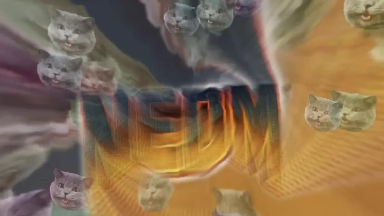 NEDM