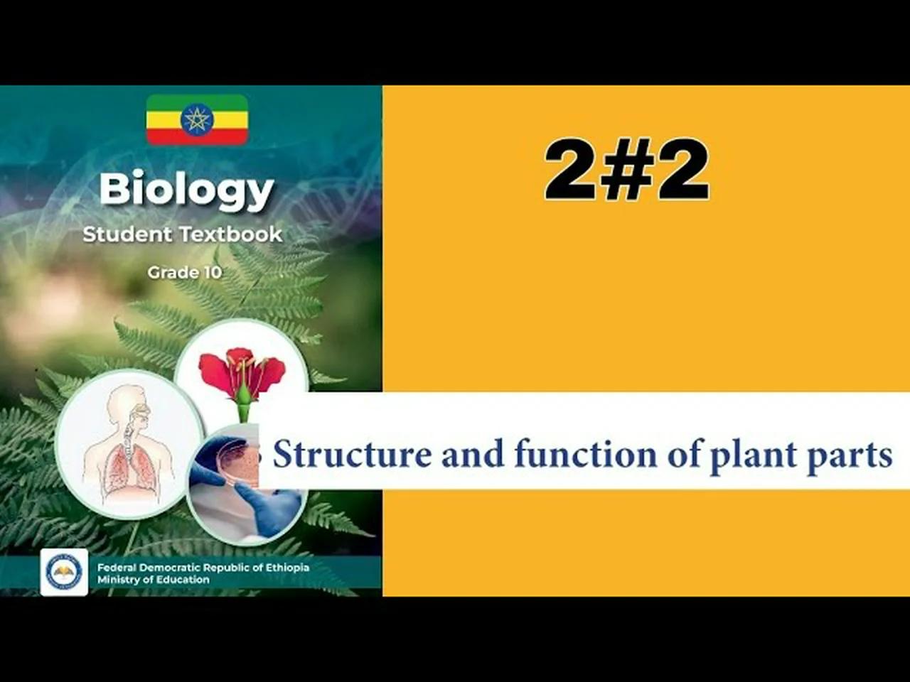 Ethiopian Grade 10 Biology 2#2 Structure and Functions of Plant parts