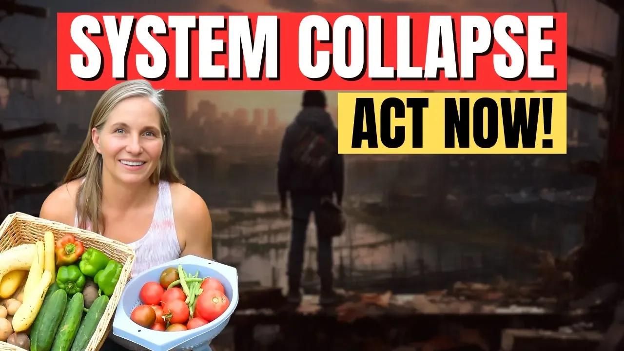 How To Prepare For The Total Collapse of The System | Marjory Wildcraft ...