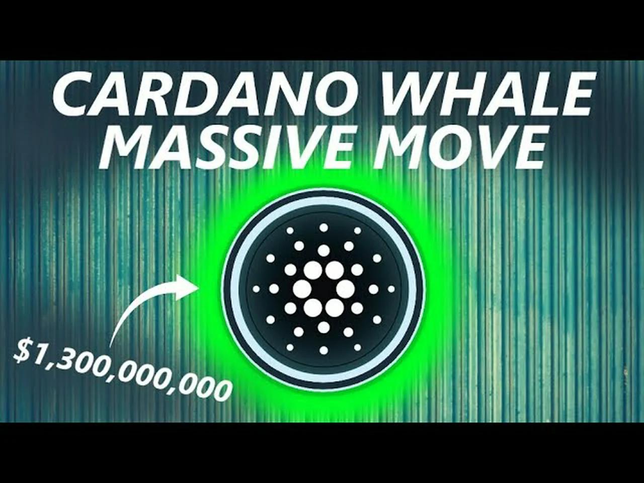 CARDANO MYSTERY WHALE