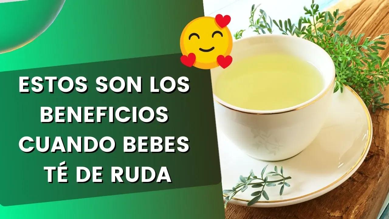 🔥 Té De Ruda 👉 Para Que Sirve El Té De Ruda Beneficios Y Como Hacer Té ...