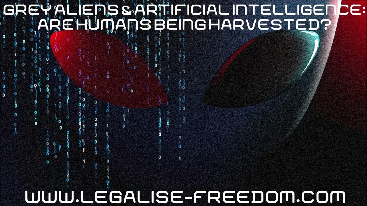 Grey Aliens and Artificial Intelligence - Are Humans Being Harvested ...