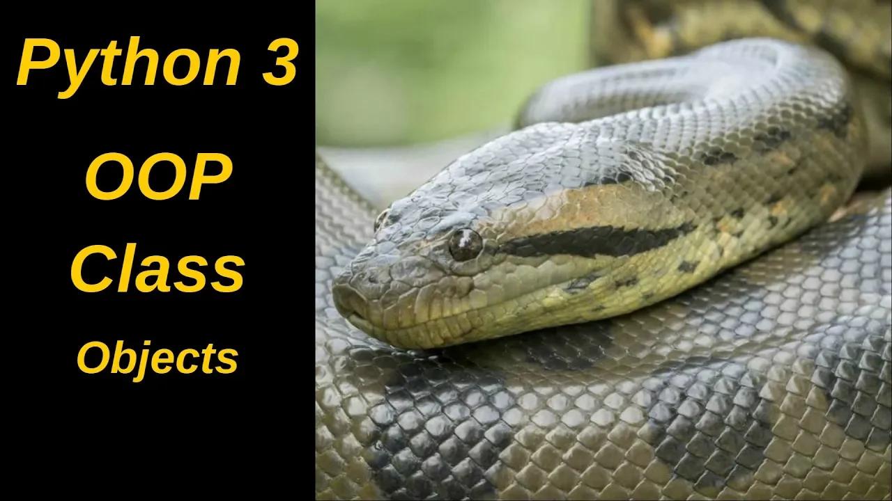 Python 3 Programación Orientada A Objetos Clases Objetos