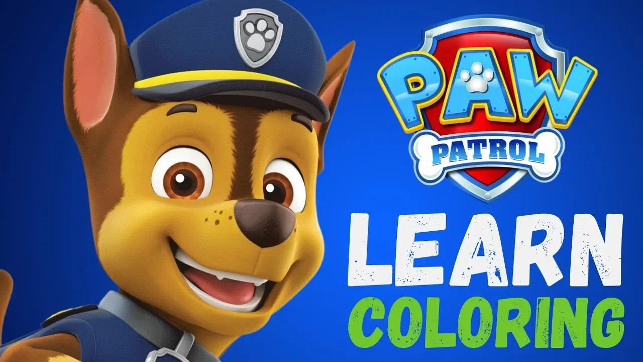 Paw Patrol Academy: Lean Colors With Paw Patrol Fun Educational ...