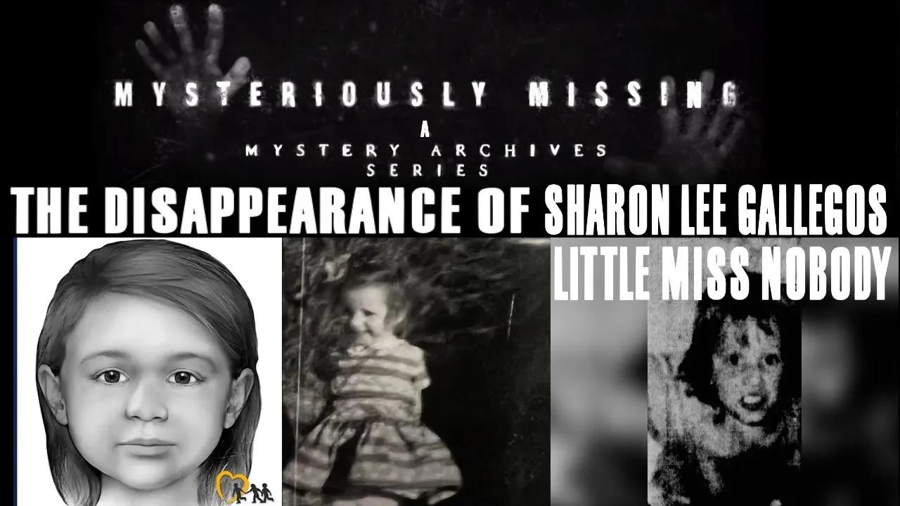 The Disappearance Of Sharon Lee Gallegos (Little Miss Nobody ...