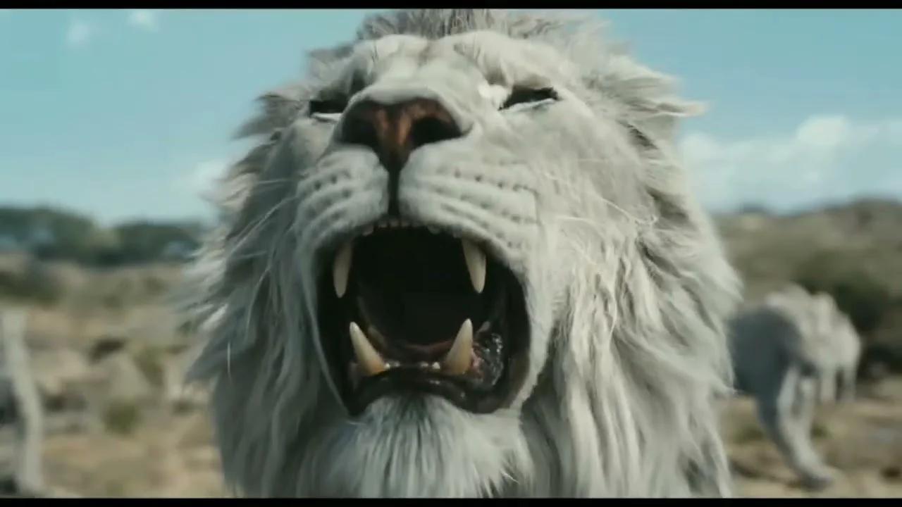 Mufasa : The Lion King X Bye Bye Bye NSYNC