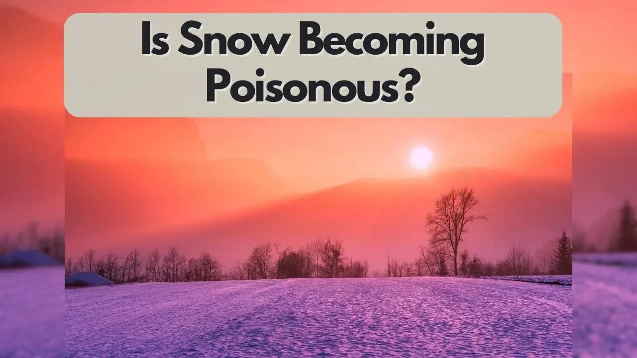 Is Snow Becoming Poisonous?