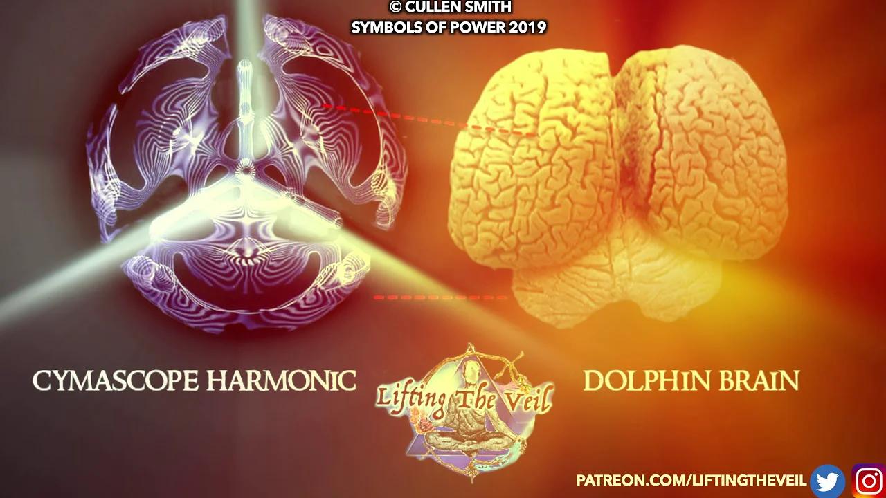 Sonic Resonance & Symbolism pt8: Sacred Geometry & Anatomy