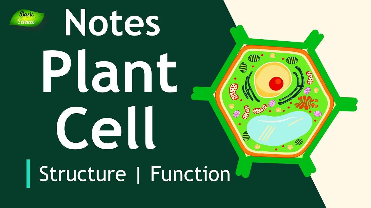 Plant cell Notes | structure and Function | Basic Science Series