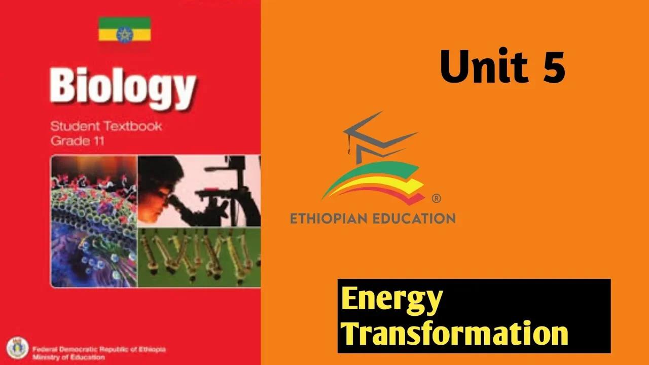 Ethiopian Grade 11 Biology Unit 5 Energy Transformation