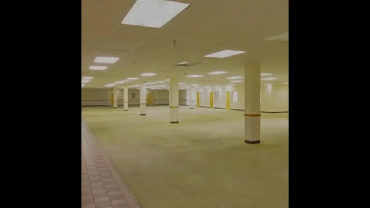 LIMINAL ARCHIVES - Level 1 of the Backrooms - The Halls