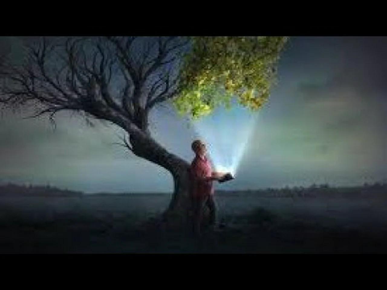 POWERFUL TRUTH! LOVE, EGO, & WORSHIP By: Darius J. Wright #powerful #truth