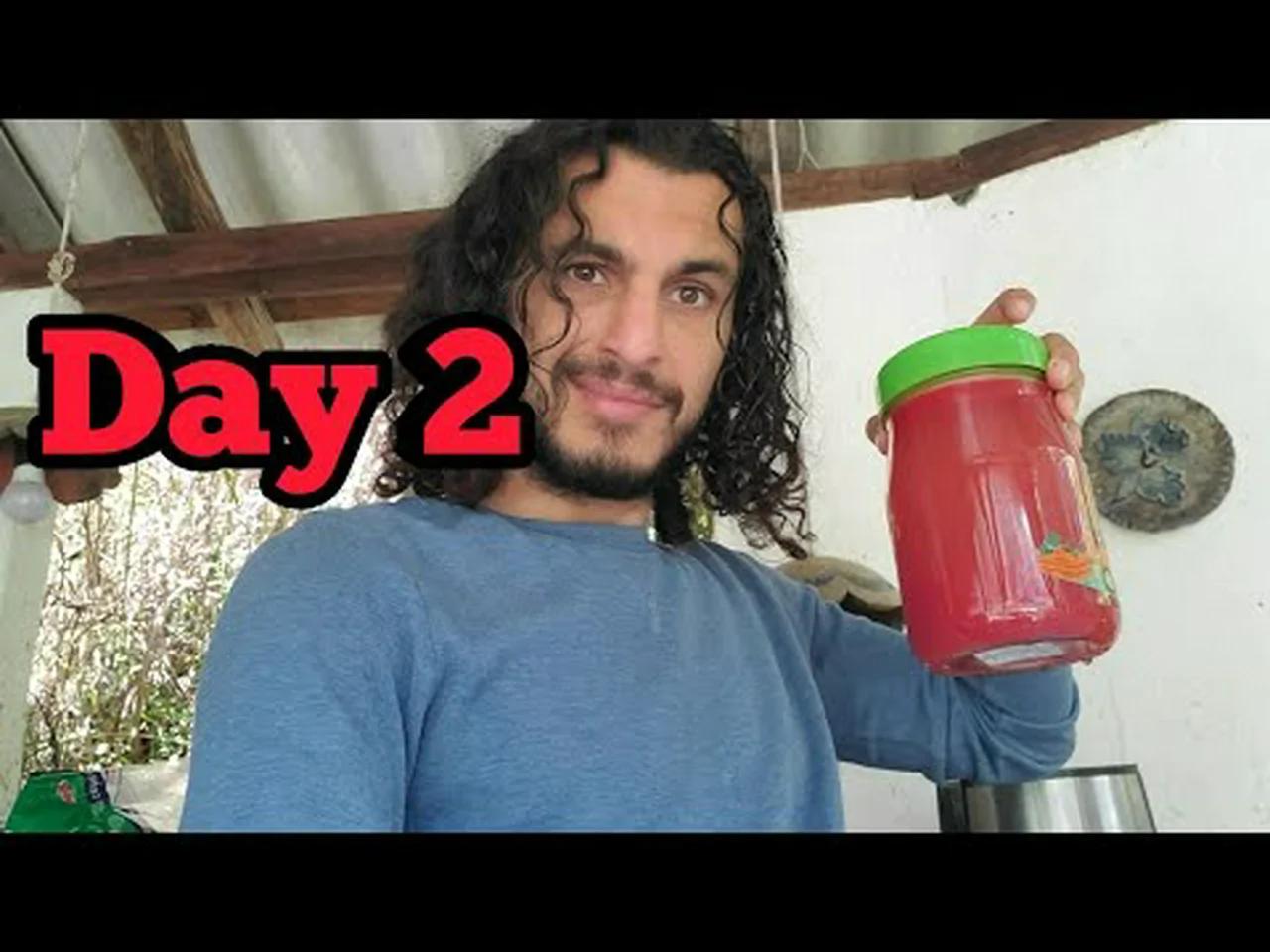 JUICE FAST (DAY 2) | How Much To Drink? | Raw Vegan | Fruitarian | Detox | Juice Recipes|Breatharian
