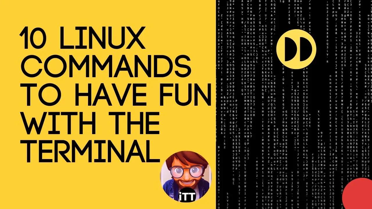 10 Amusing Linux Commands To Have Fun With The Terminal | Tips & Tricks ...