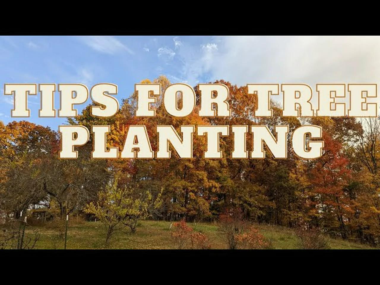Tree Planting Tips
