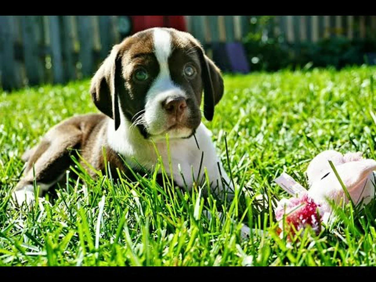 THE UGLY TRUTH ABOUT ALT MEDIA PLATFORMS