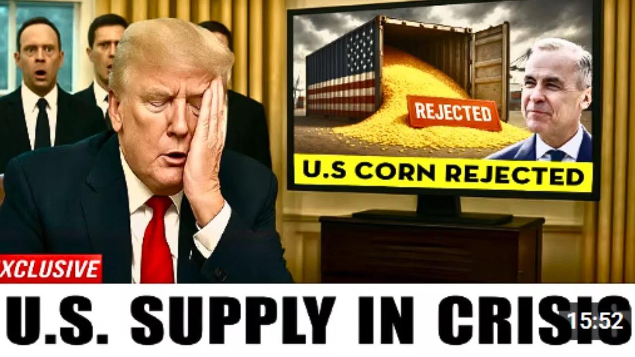 Trump GONE MAD as U.S. Corn Shipments Rejected — Canada Now Becomes ...
