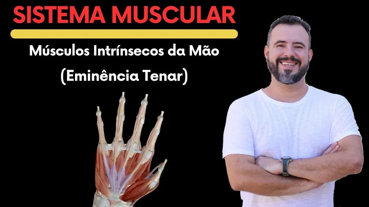 MÚSCULOS INTRÍNSECOS DA MÃO (INTRODUÇÃO E EMINÊNCIA TENAR) | Prof ...