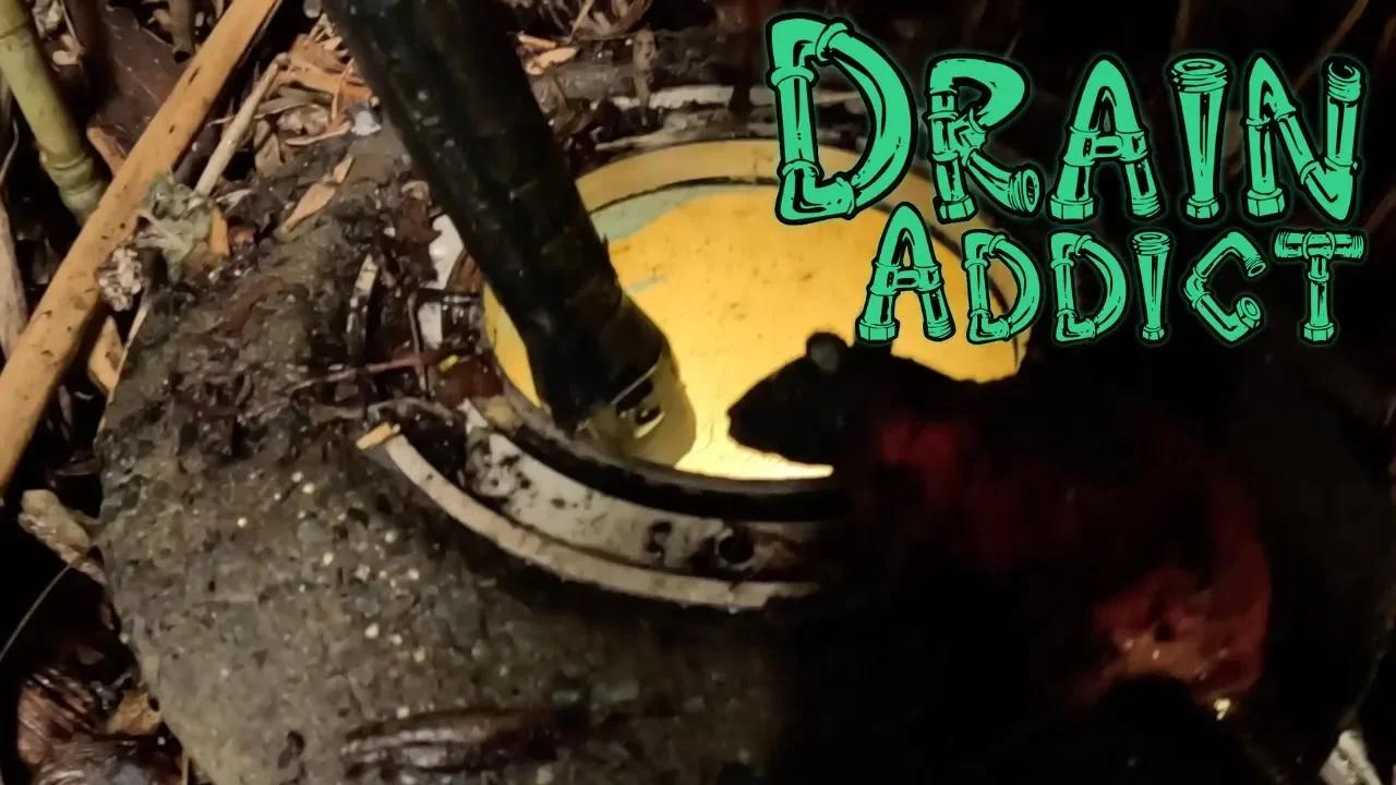 Blocked Drain 932