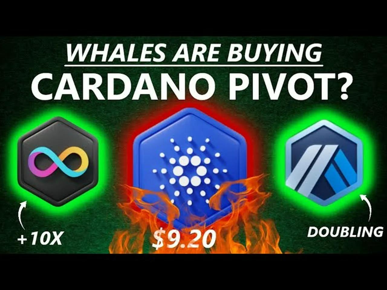 CARDANO & HYDRA | $ICP 'HUMPBACK' WHALES | COINBASE BUYING CARDANO & HYDRA | $ICP 'HUMPBACK' WHALES | COINBASE BUYING