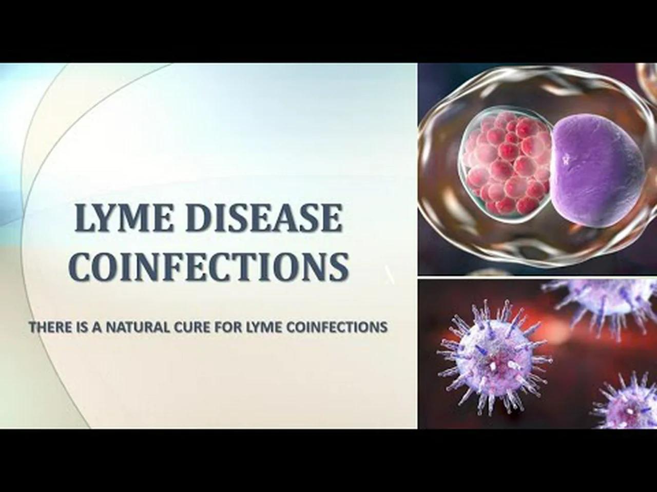 Lyme Disease Co-Infections - There is a Natural Cure!