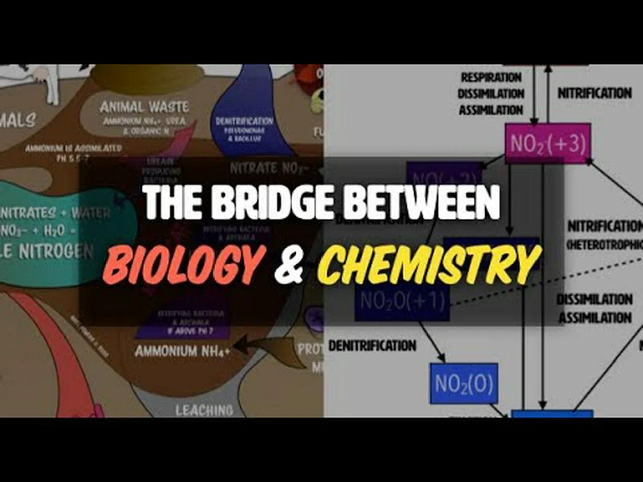 The Bridge between Soil Chemistry and Biology with Matt Powers [FULL ...