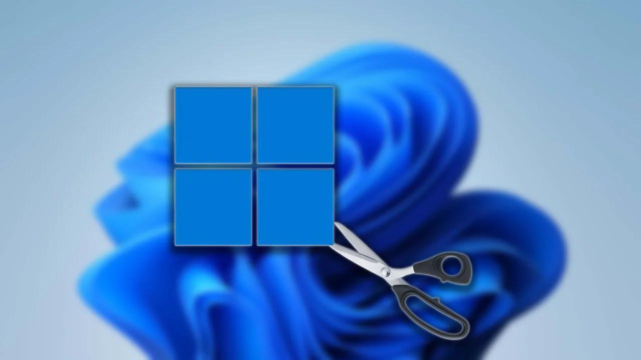 Removing too many Windows 11 components