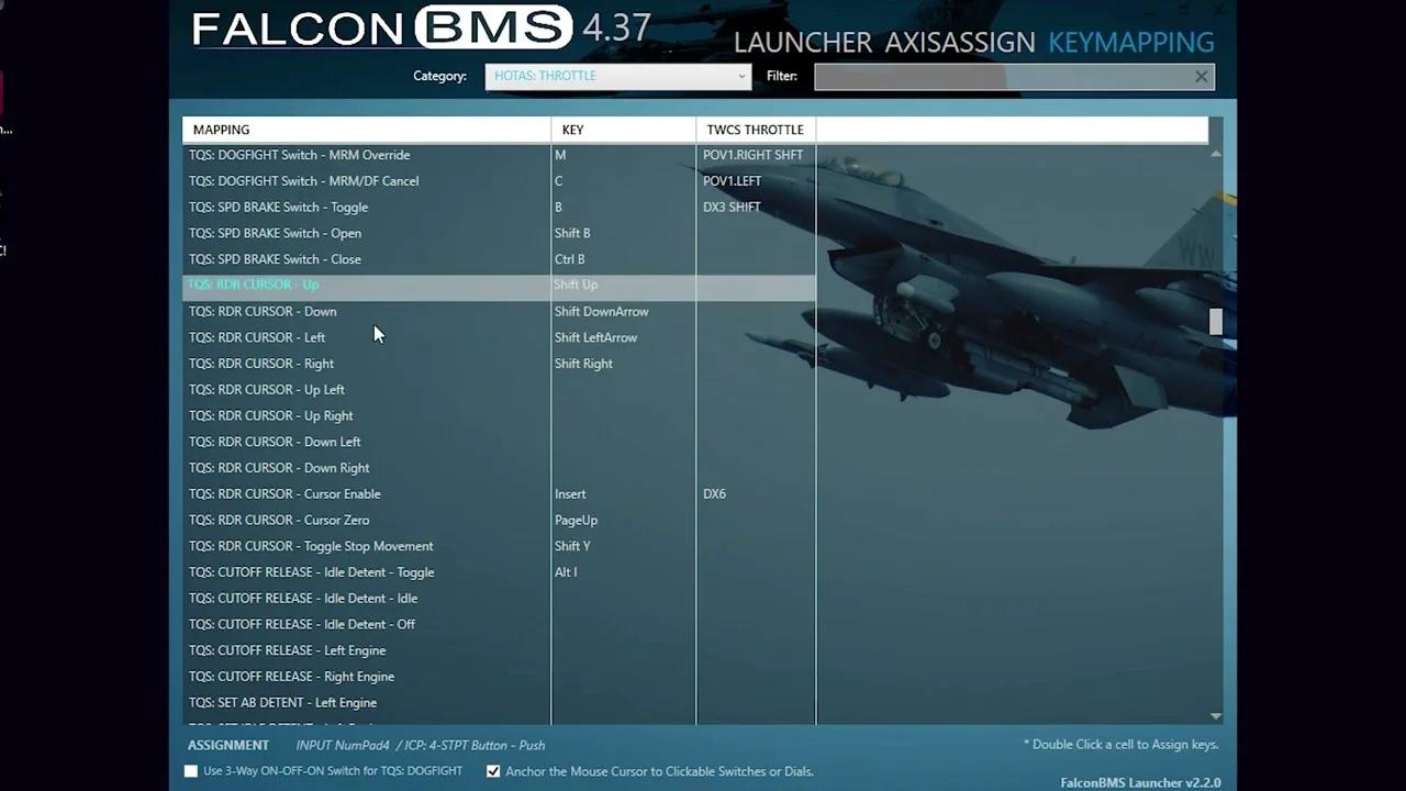 Cómo configurar controles en Falcon BMS