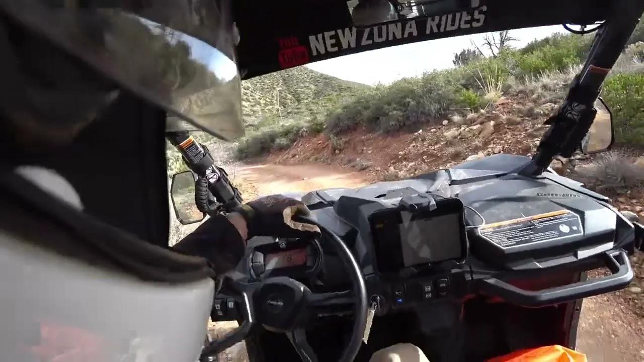 Sunflower Mine- The Battle Starts