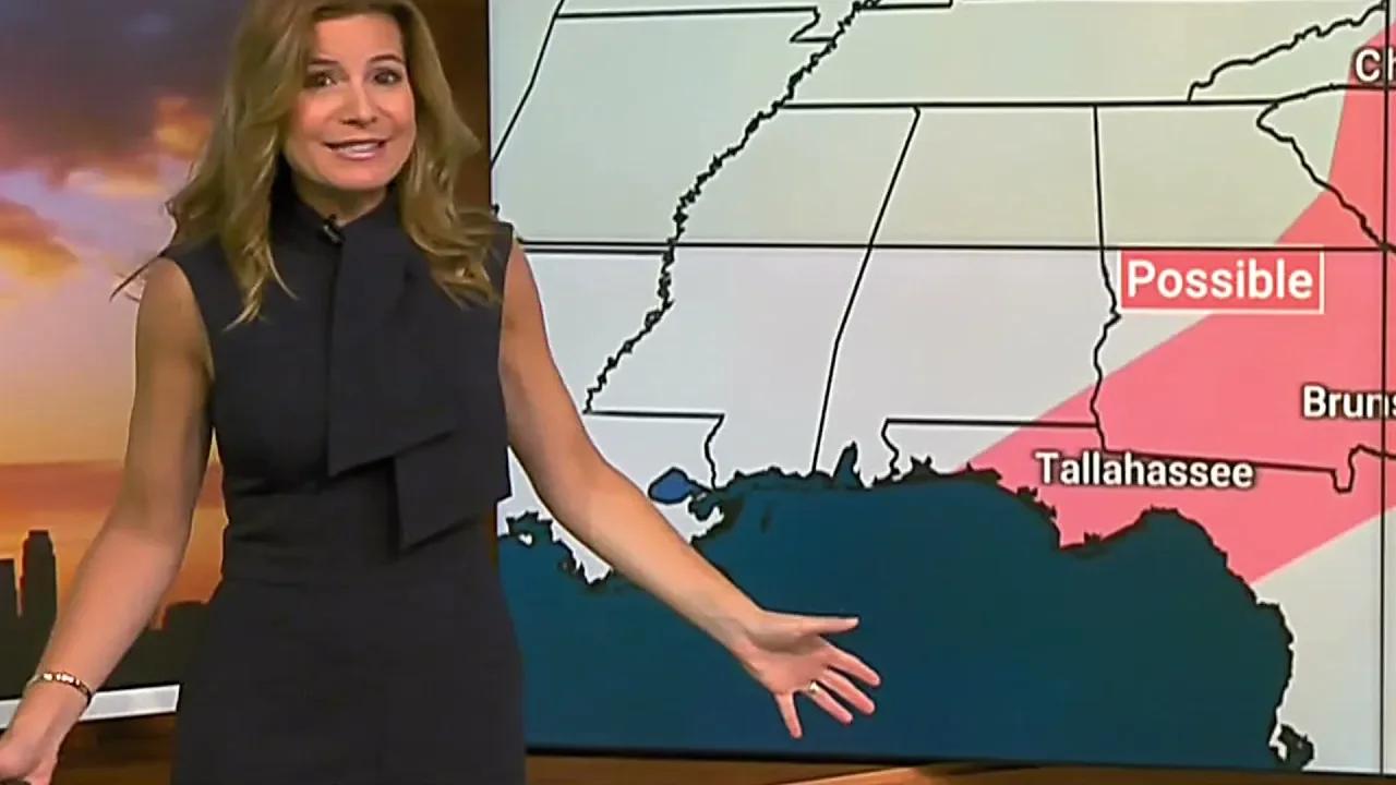 Jen Carfagno - The Weather Channel - Grey Jumpsuit - Profile View ...