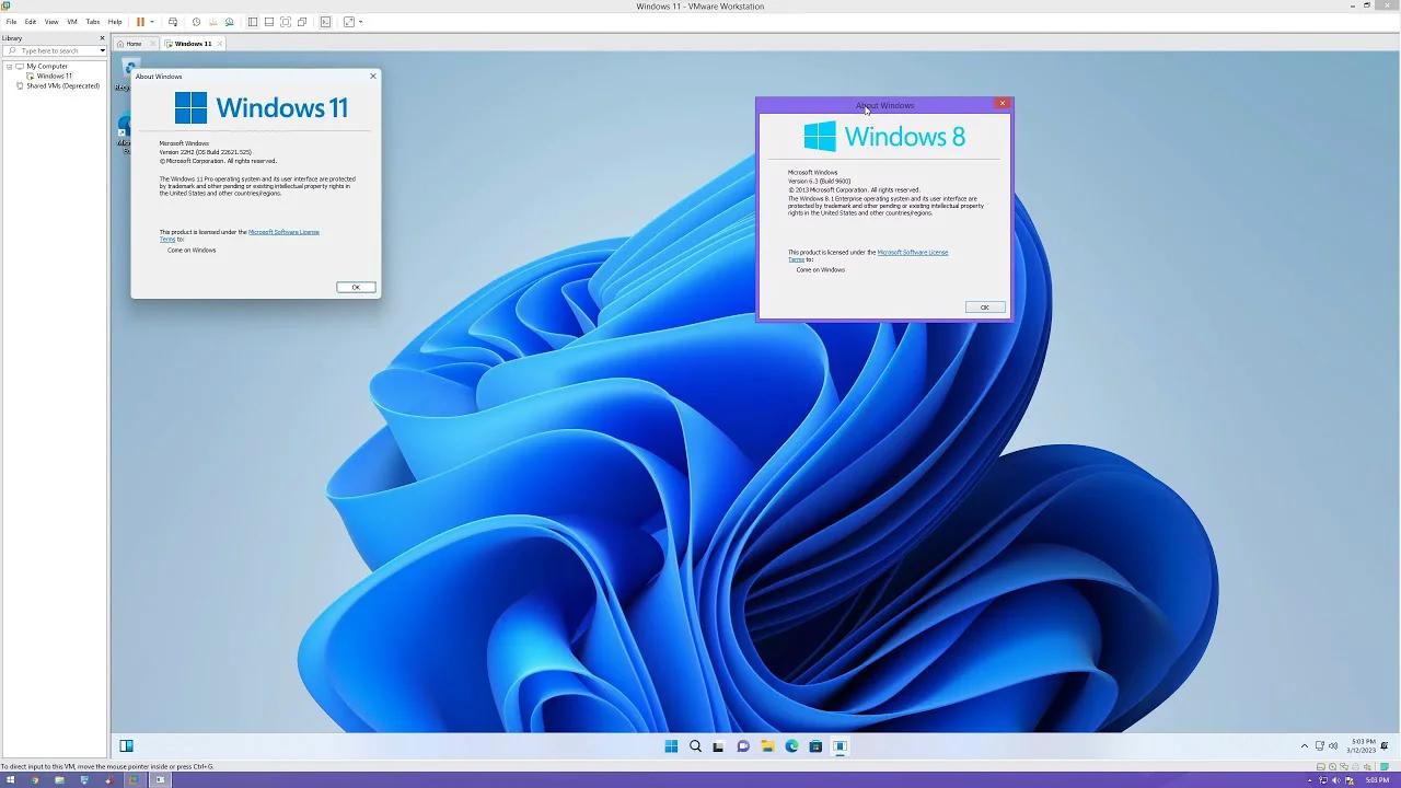 Installing Windows 11 inside Windows 8.1