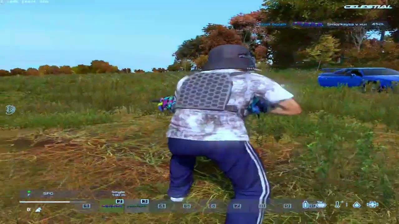 How to control on DayZ #dayz #celestial #fragmovie