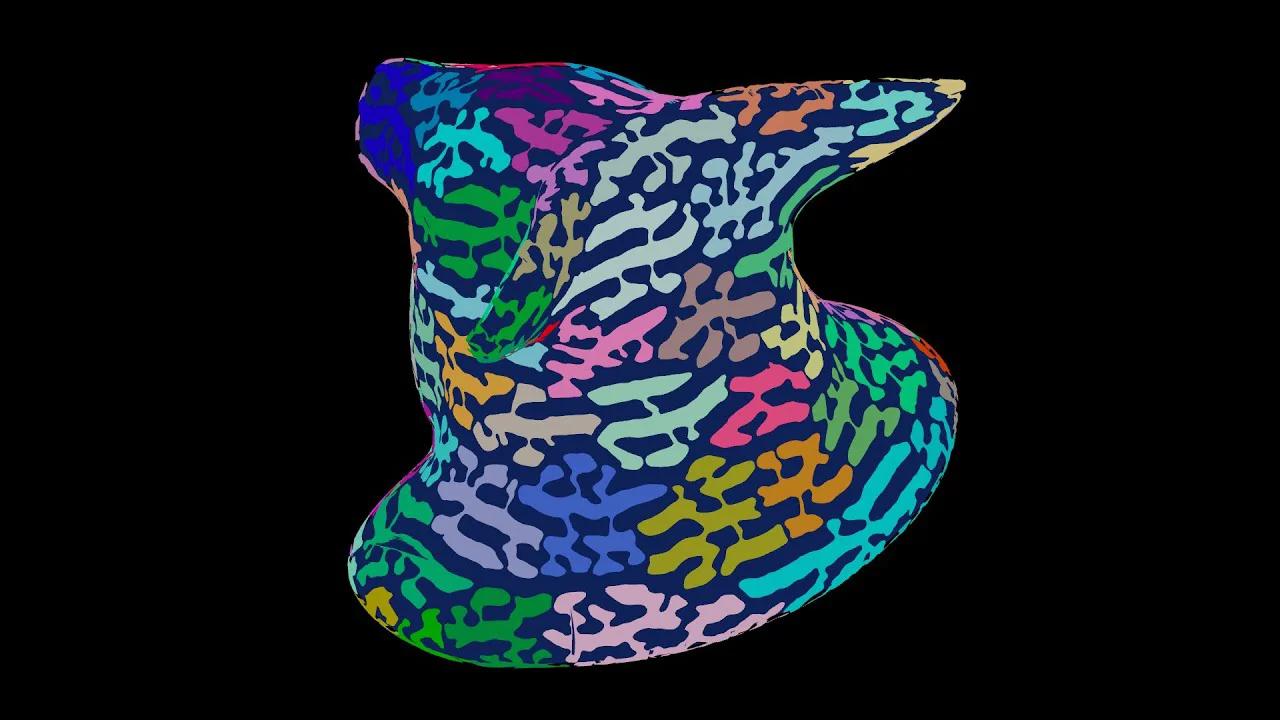 Field Guided Reaction Diffusion – Houdini Tutorial