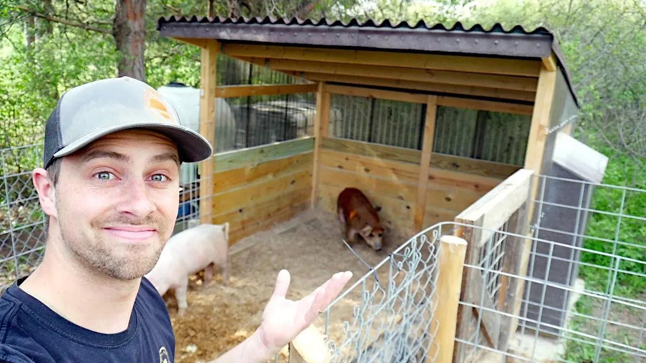 Lean-To Shelter for raising our Feeder Pigs! | Expanding our Mini ...