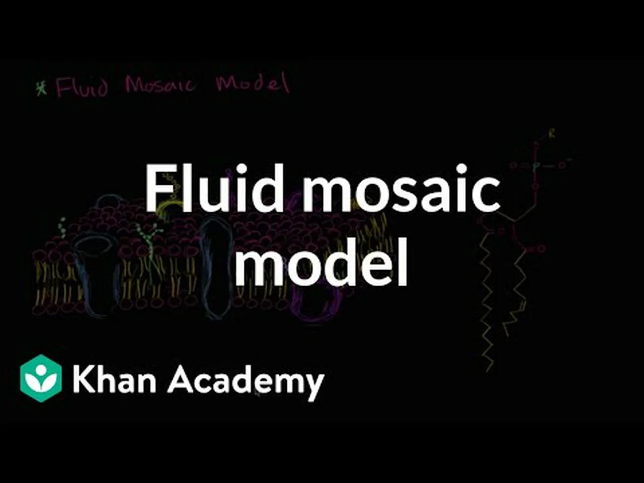 Fluid mosaic model of cell membranes | Biology | Khan Academy