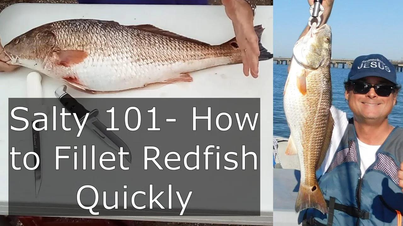 Salty 101- How to Fillet Redfish Quickly