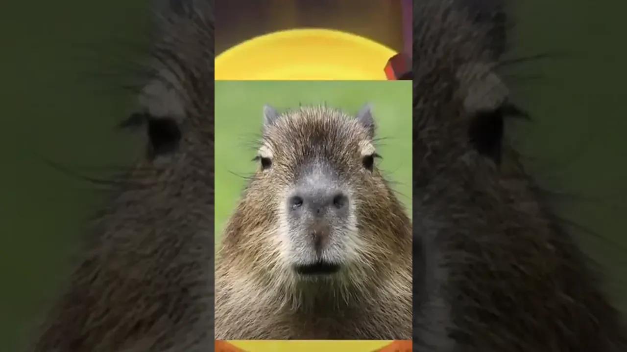 pac man world Repac final boss with capybaras
