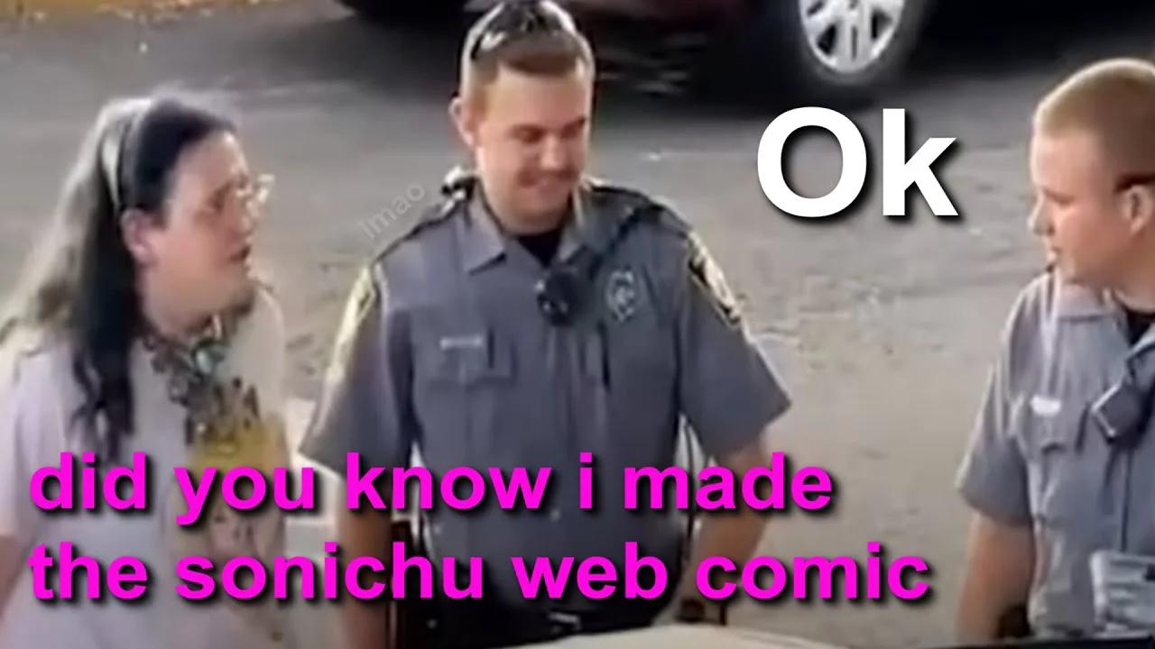 What happened during Chris Chan's arrest?