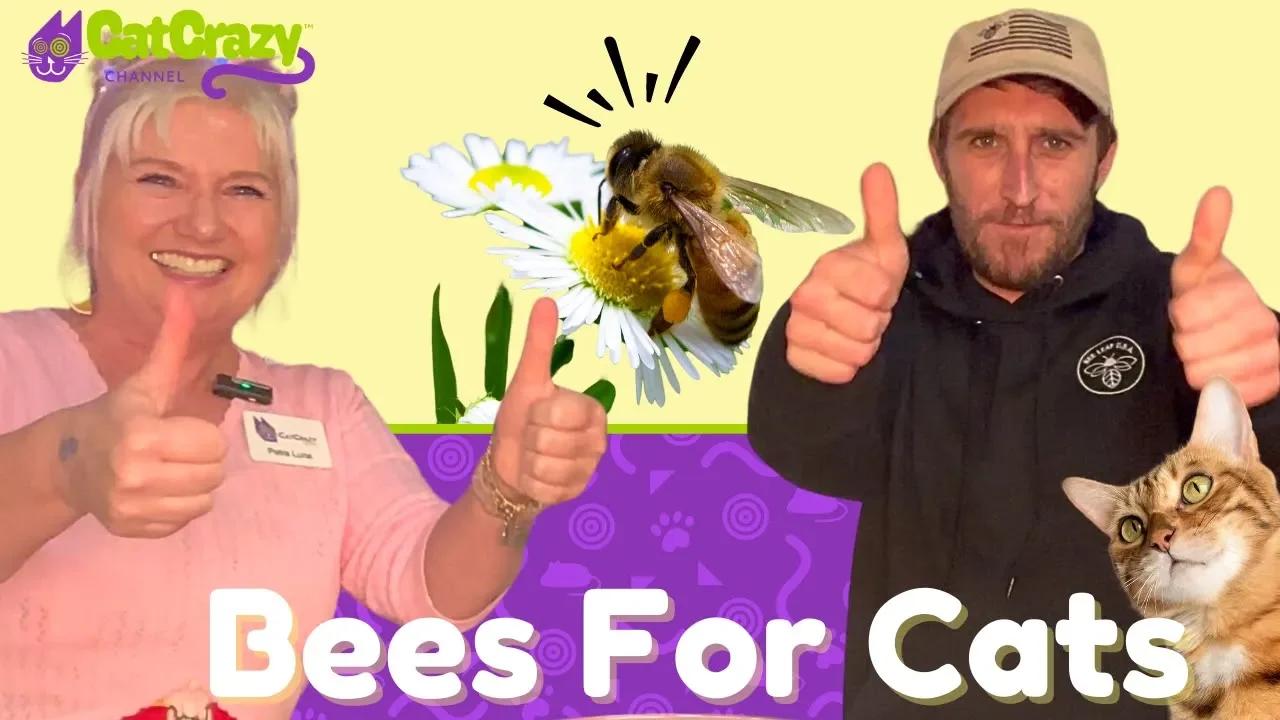 San Diego Cat Show - Bee Leaf USA Explains How Honey Helps Cats