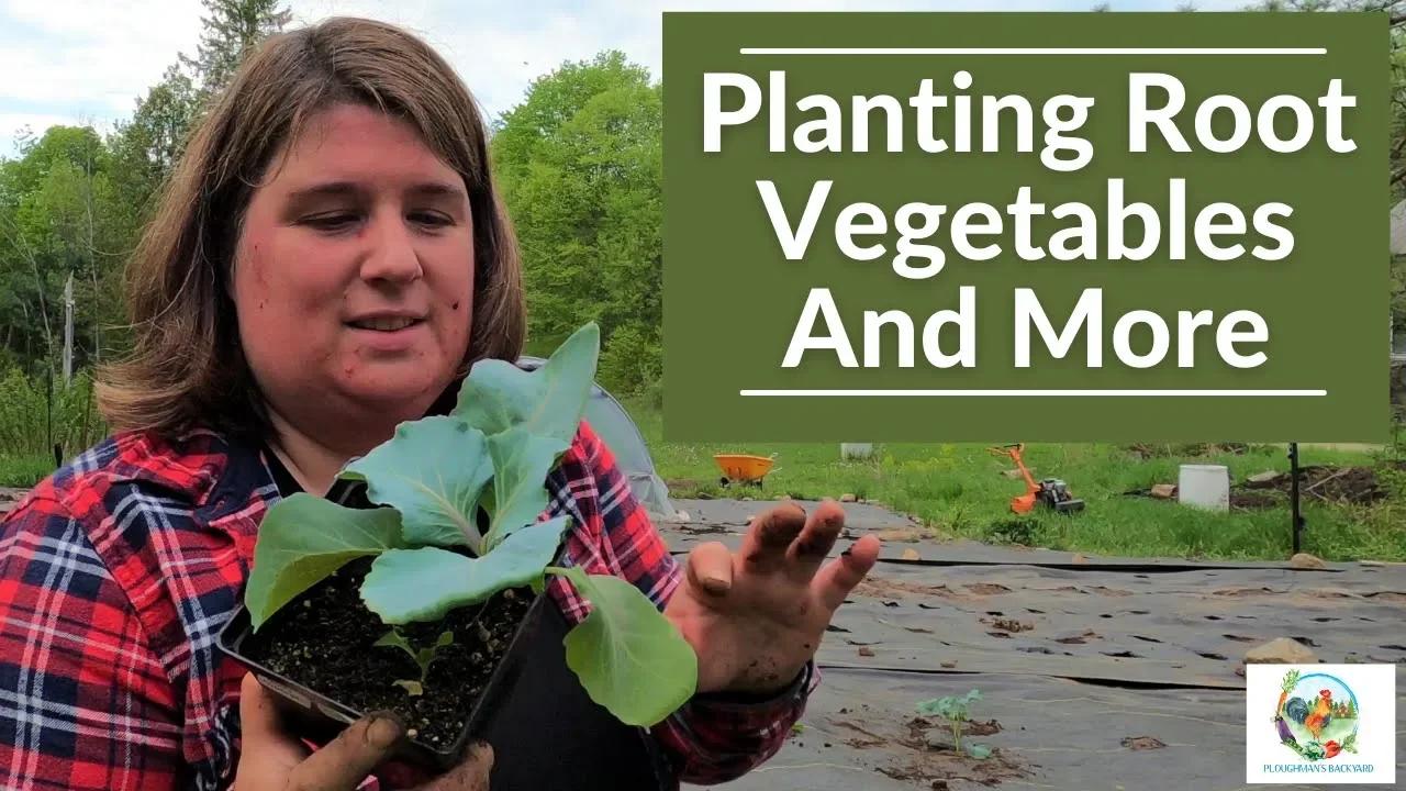 Planting Root Vegetables And More | Look At All That Asparagus!
