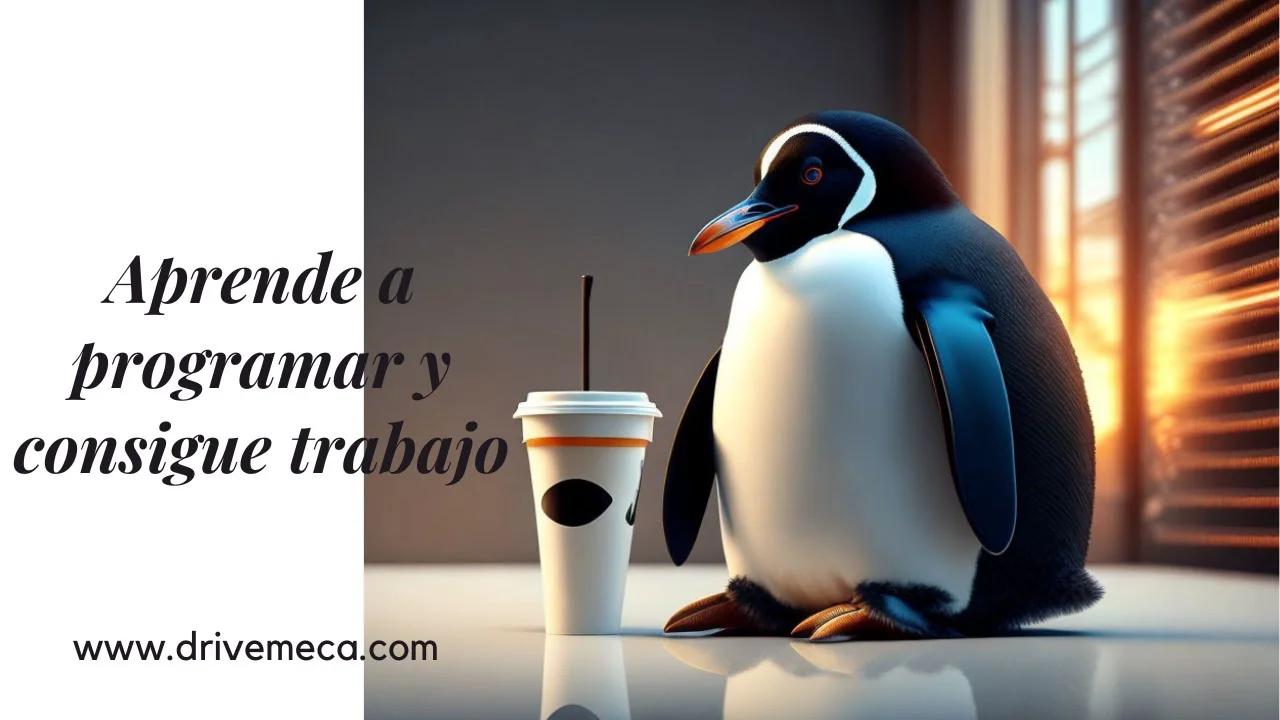 Aprende a programar con FreeCodeCamp