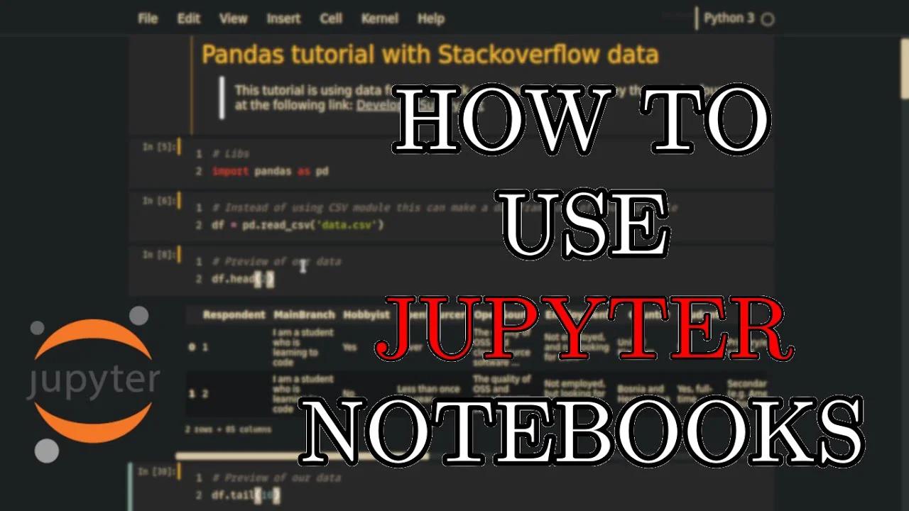 How To Use Jupyter Notebooks 📔 (Basics Tutorial)
