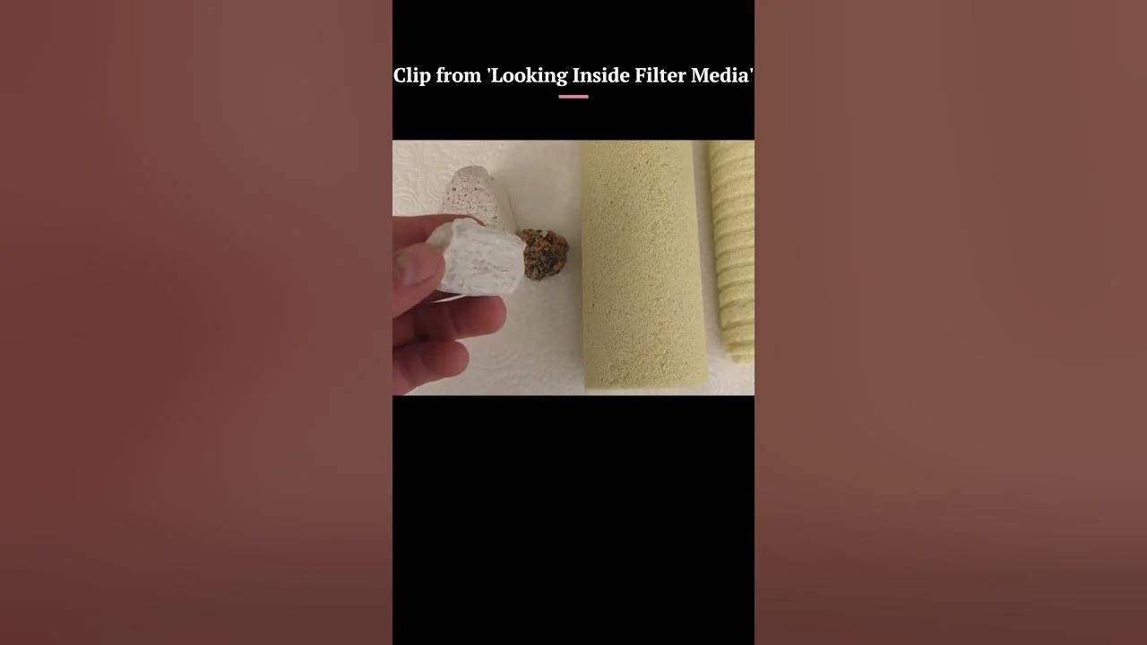 Microscopic View of White Pumice