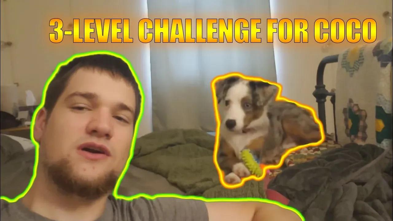 Coco Challenge of 3 Levels of Difficulty to Get her Toy Off