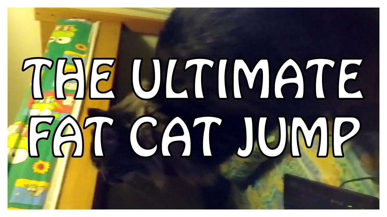 The Ultimate Fat Cat Jump